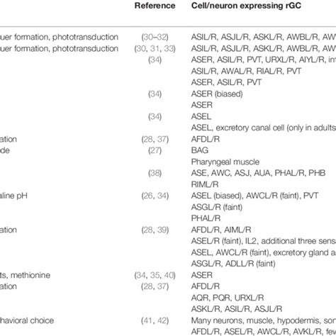Caenorhabditis Elegans Sensory Neurons A Subset Of C Elegans Amphid Download Scientific