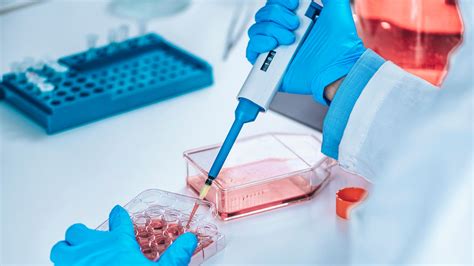 Carne Sintetica Ecco Cosa Ne Pensano Gli Scienziati Italiani Che Ci