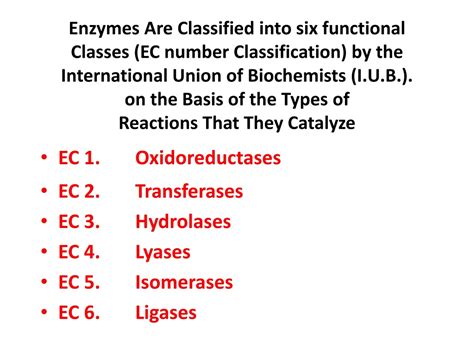 Ppt Enzyme The Biological Catalyst Powerpoint Presentation Free