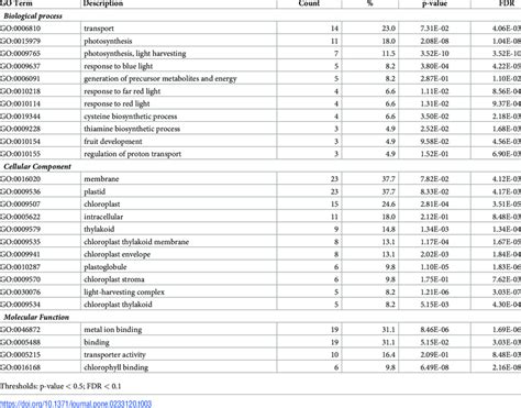 Go Classification Of The Up Regulated Genes In G123 Download