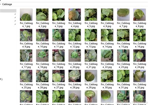 数据集 图像分类 蔬菜分类数据集21万张15类豆子苦瓜葫芦茄子西兰花卷心菜辣椒胡萝卜花椰菜黄瓜木瓜土豆南瓜萝卜和西红柿15种蔬菜数据集