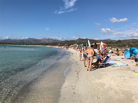 Cala Brandinchi Beach La Pipara Sassari On The Map With Photos And