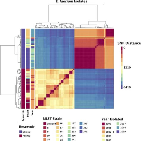 Antibiotic Resistance Genes Detected In Vancomycin Resistant E