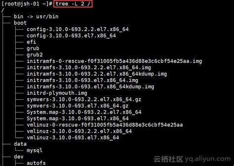 Linux Linux