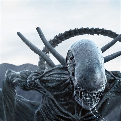 Alien Covenant Xenomorph Movie Wallpaper 2048x2048