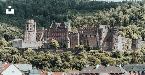 나무로 둘러싸인 언덕 꼭대기에 있는 성 사진 Unsplash의 무료 건축학 이미지