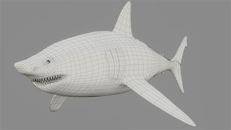 Great White Shark 3D Model By Sathak