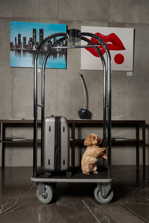 Pullman Tbilisi Axis Towers Tbilisi