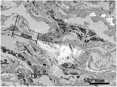 Coatings Free Full Text High Temperature Erosion Of Sic Nicraly