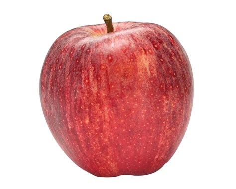 Nos Variétés De Pommes Saint Sigismond De Clermont Jonzac Pons Piaud