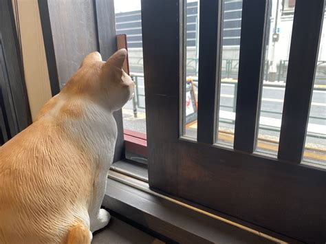 猫の街、谷根千で「 語り劇版 吾輩は猫である 」を聴こう！6月10日（金）10時～一粒万倍日の日 文学ライブ 小河知夏劇場漱石、鴎外、芥川