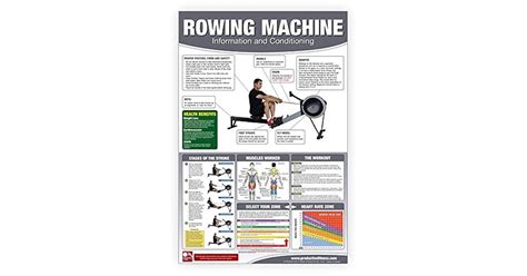 Rowing Machine Posterchart Male Version How To Use A Rower How To