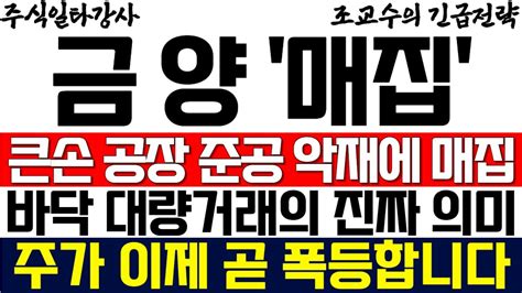 금양 주가 조교수 큰손 공장 준공 악재에도 풀매집 바닥 대량 거래의 진짜 의미 주가 이제 곧 폭등합니다 Youtube