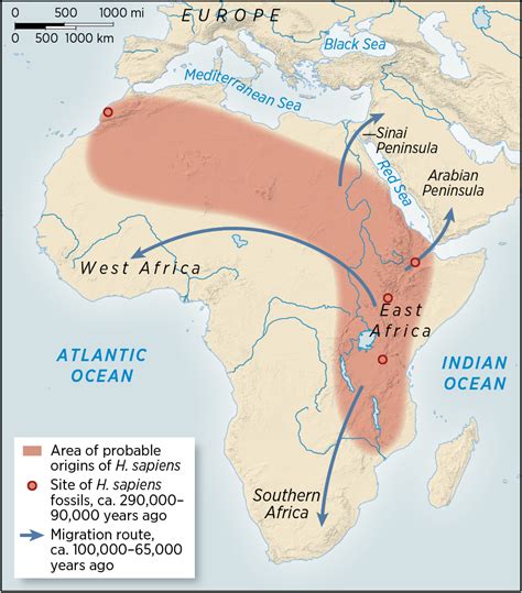 Early Humans In Africa