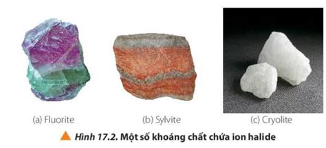 Từ các thông tin và quan sát Hình 17 2 nhận xét dạng tồn tại của các