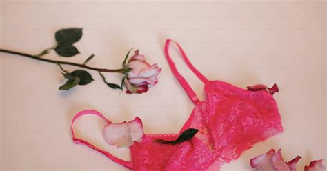 Una Flor Rosa Con Hojas Verdes Foto Imagen De Ropa Interior En Unsplash