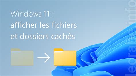 Windows 11 afficher les fichiers et dossiers cachés Le Crabe Info