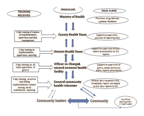 Reporting Chain Under Active Case Finding Strategy Download Scientific Diagram