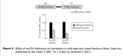 Aamc Sample Test Bio Biochem Foundations Flashcards Quizlet