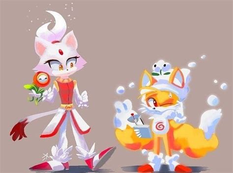 Tails X Blaze Hedgehog Art Sonic Art Shadow The Hedgehog