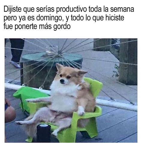15 Memes Que Solo Las Personas Flojas Y Ambiciosas Entenderán