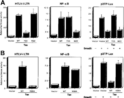 Mutation Of The Tax Affects The Tax Mediated Repression Of The