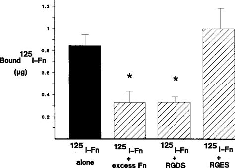 Figure 1 From Role Of Fibronectin In Pneumocystis Carinii Attachment To Cultured Lung Cells