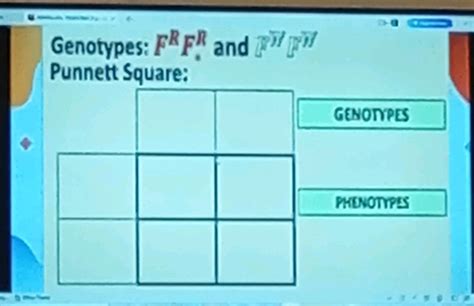 Genotypes FR F I R And F FM Punnett Square StudyX