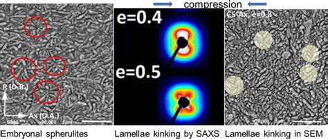 Morphology And Plastic Yielding Of Ultrahigh Molecular 46 Off