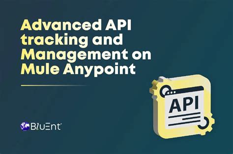 MuleSoft Analytics For Tracking API Usage And Performance