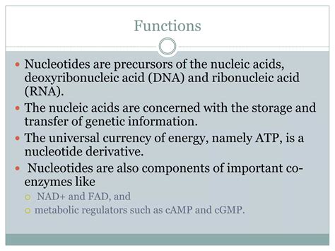 Chemistry Of Nucleotides Pdf