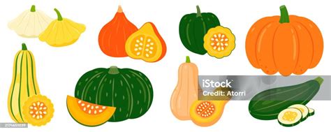 호박과 호박은 흰색 배경에 고립 되어 있습니다 추수 감사절과 할로윈 요소 가을 수확 조롱박 플랫 스타일에 야채의 벡터 그림 스쿼시 조롱박과 식물에 대한 스톡 벡터 아트 및