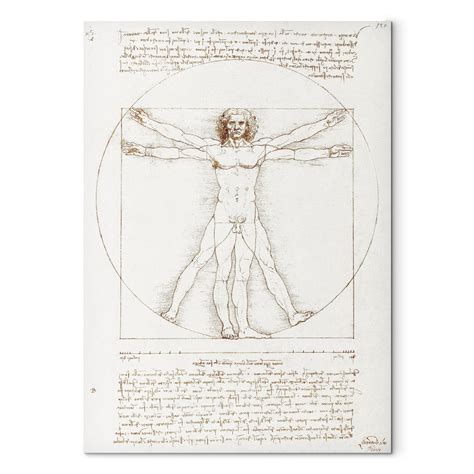 Art Reproduction Vitruvian Man Proportions Of The Human Body According