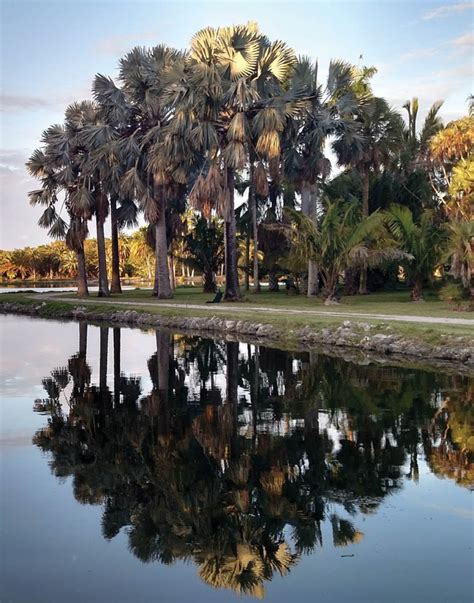 Inside Montgomery Botanical Center Coral Gables Magazine