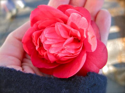 Gentle Restart Detox Bootcamp Oct 15 19 2018 Intuition Physician