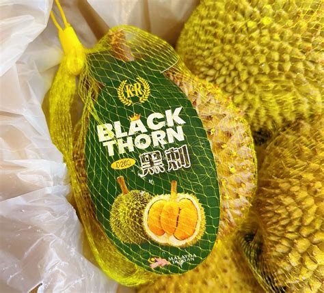 D200 Black Thorn Durian 18 2kg Each Umall Australias Largest