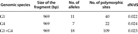 Analysis Of The Reca Gene Fragment In The Agrobacterium Tumefaciens