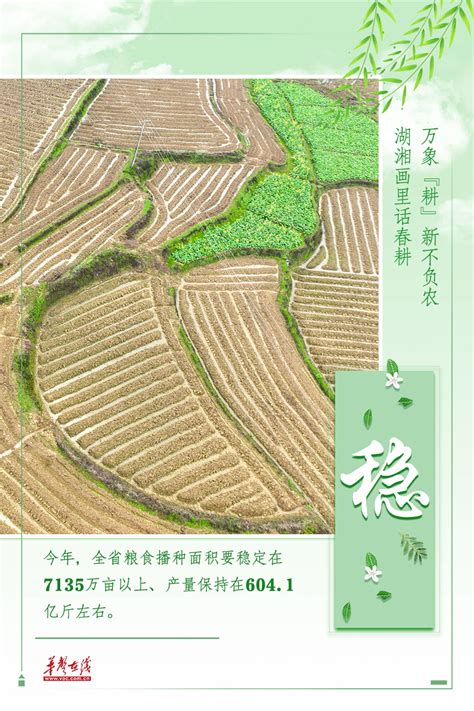 海报万象耕新不负农 湖湘画里话春耕 民生 湖南在线 华声在线