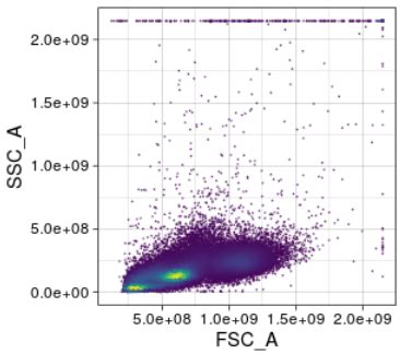 Weird FS00 A And SS02 A Values In YETI Analyzer Issue 210 RGLab
