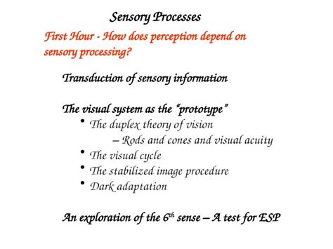 Ppt First Hour How Does Perception Depend On Sensory Processing Sensory Processes