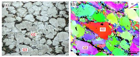 Microstructure Evolution And Dynamic Recrystallization Behavior Of Mg Gd Y Zn Zr Alloy During