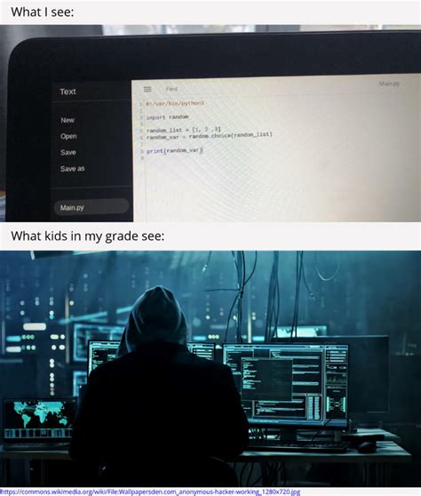 Im The Only Person At My School That Knows Python Rprogrammingmemes