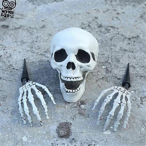 Skeleton And Posable Skeleton Skeleton Model Plastic Skeleton Movable
