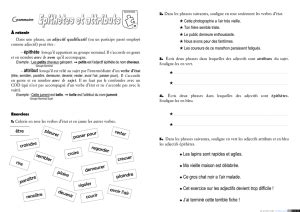 Adjectifs Epith Tes Attributs Exercices D Valuation
