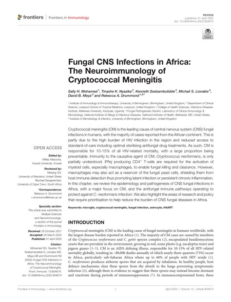 Pdf Fungal Cns Infections In Africa The Neuroimmunology Of