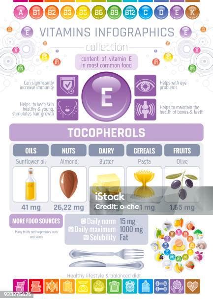 비타민 E 음식 아이콘입니다 건강 한 먹는 텍스트 문자 기호 고립 된 배경입니다 다이어트 Infographic 다이어그램입니다
