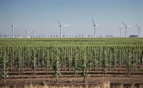 Zero Carbon Certification For Organizational Sustainability