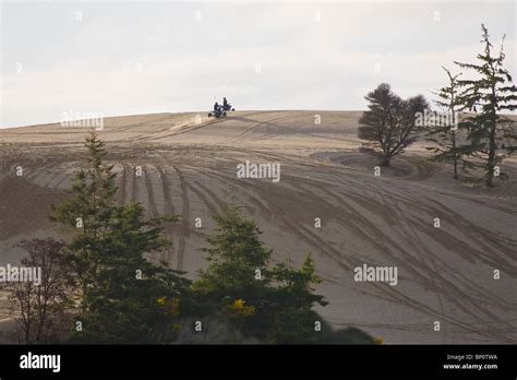 All Terrain Vehicles In Umpqua Dunes In The Oregon Dunes National