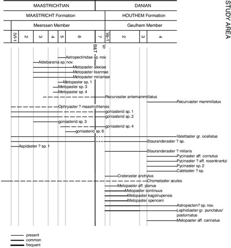 A Asteroid Distribution Across The K T Boundary In The Type Area Of
