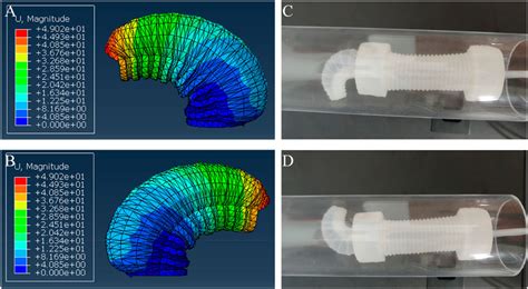 Frontiers Development Of An Earthworm Based Soft Robot For Colon Sampling